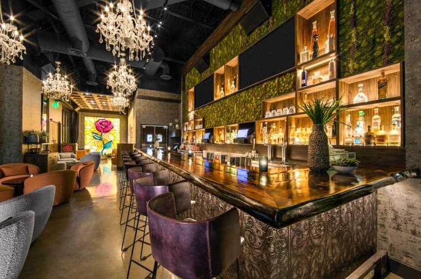 Inside La Neta Cocina y Lounge: Atmosphere, Cocktails & Dining Experience